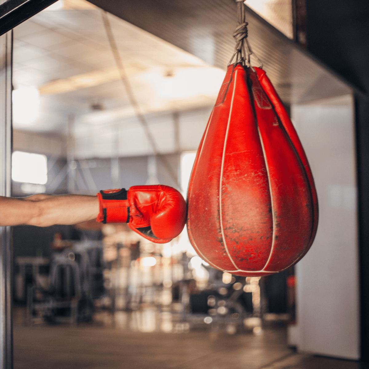 8 Types of Protein Supplements & Which Is Best