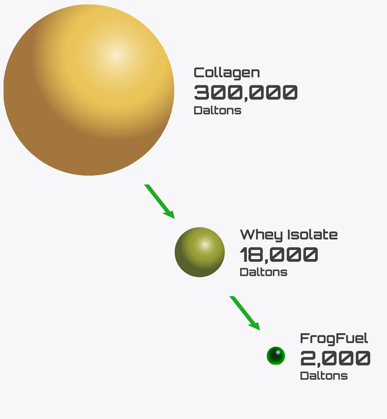 Frog Fuel - Liquid Collagen Protein for Athletes – Frog Fuel Collagen ...